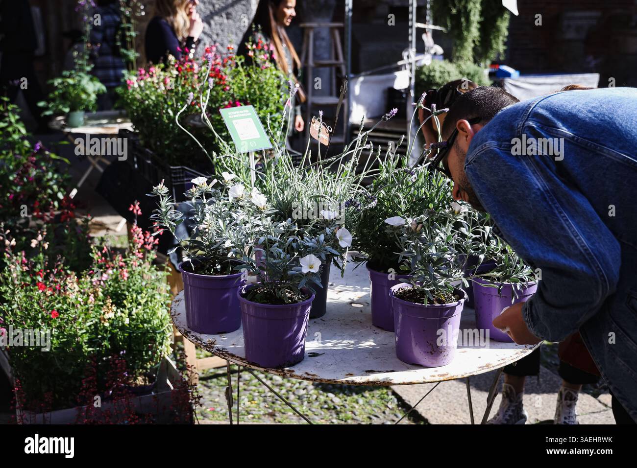 Milan, Italy. 07th Apr, 2025. Milan, The Flora et Decora spring market ...