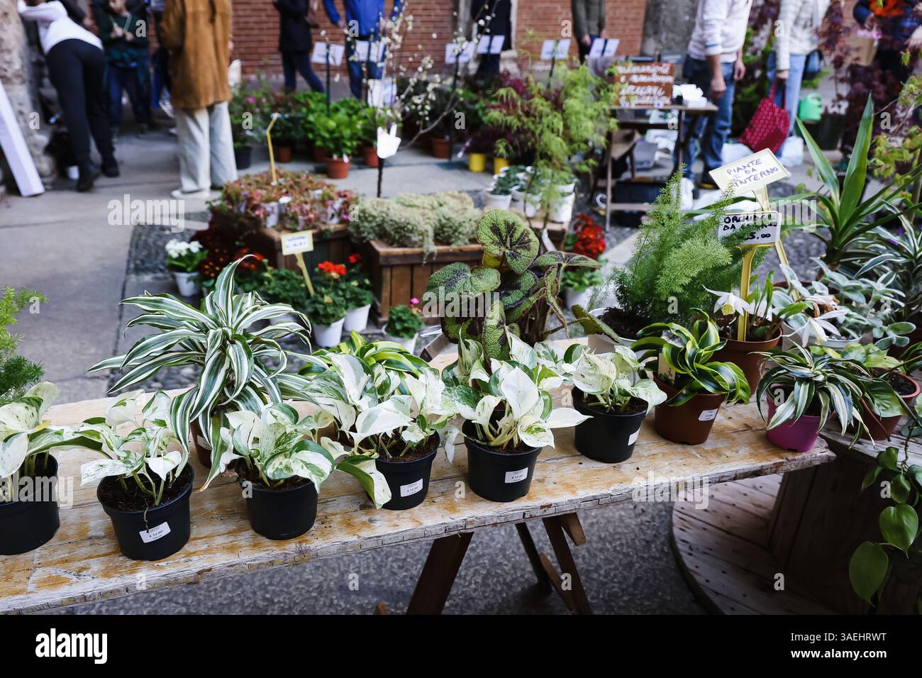 Milan, Italy. 07th Apr, 2025. Milan, The Flora et Decora spring market ...