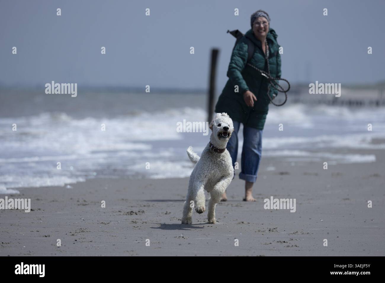 2 people walking a dog hi-res stock photography and images - Alamy