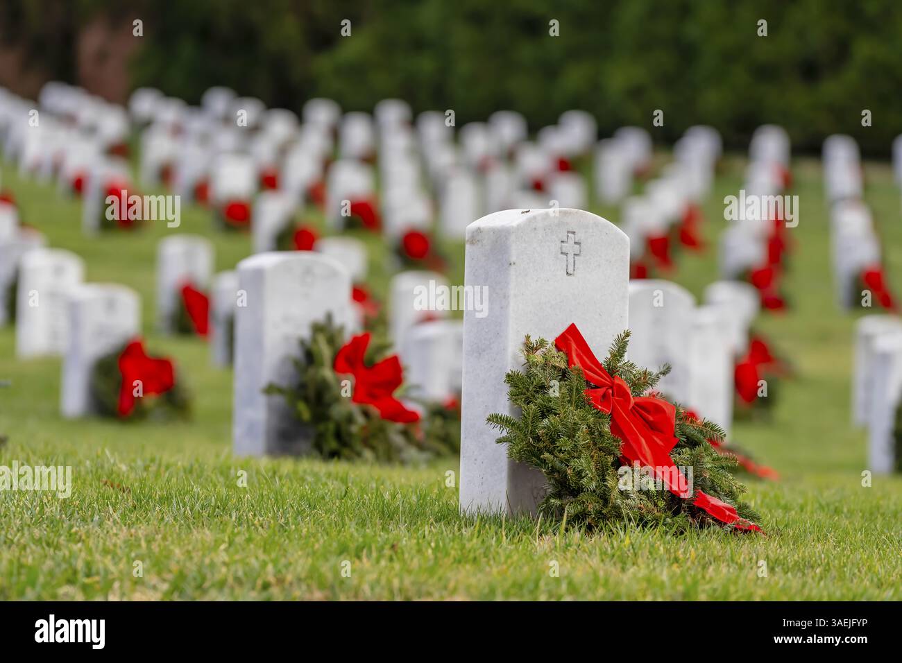 Cemetery army veterans white headstones hi-res stock photography and ...