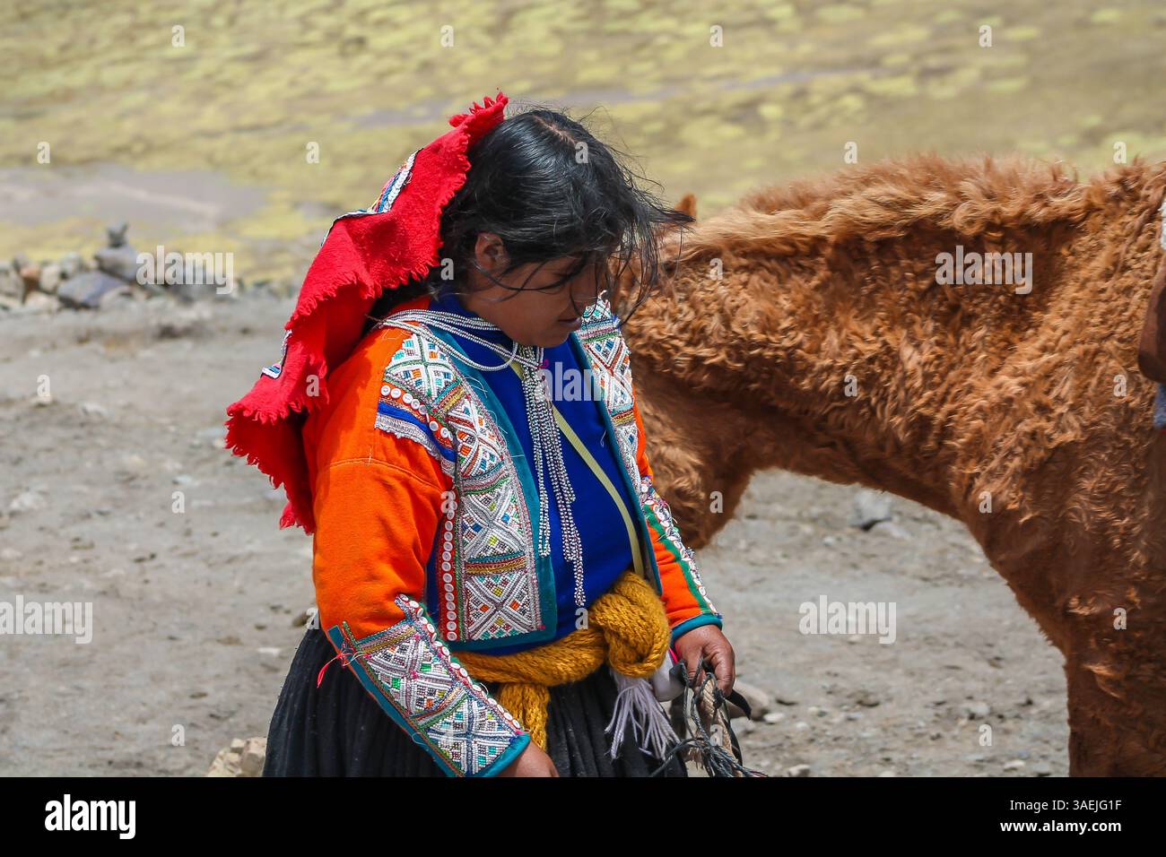 Peruvian people with horses offering tourists ride to the top of ...