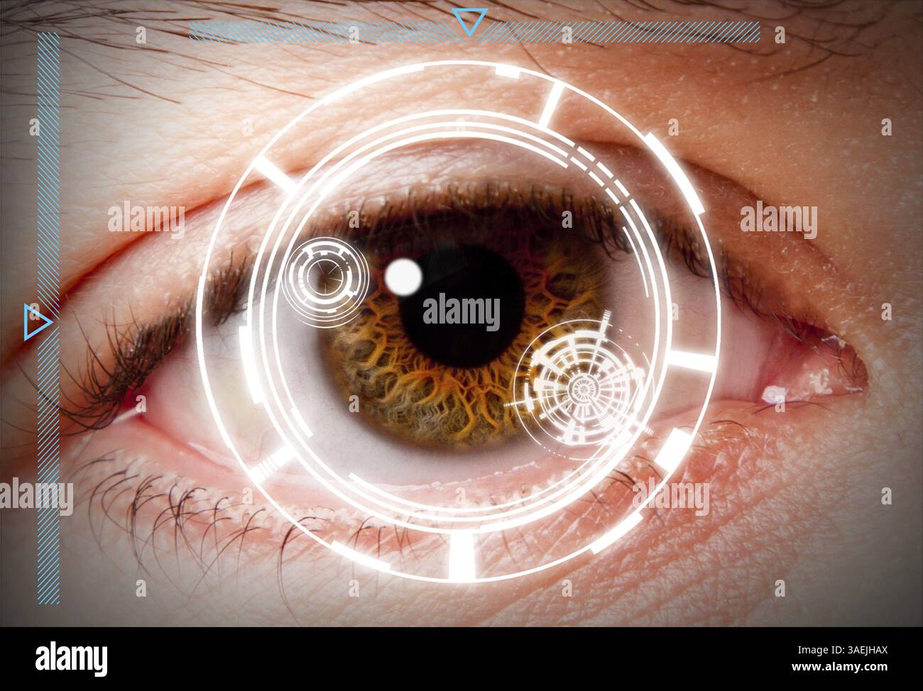 Futuristic biometric scan of the eye iris for security and high level ...