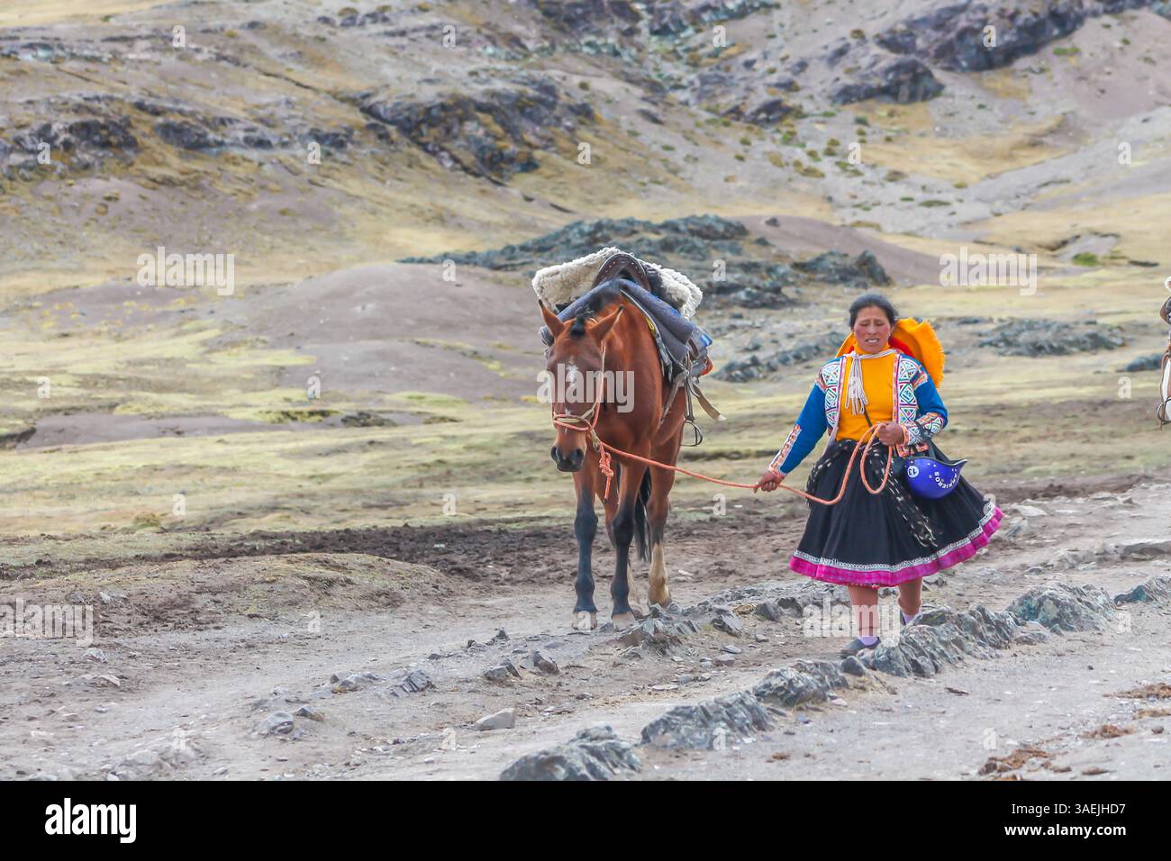 Peruvian people with horses offering tourists ride to the top of ...
