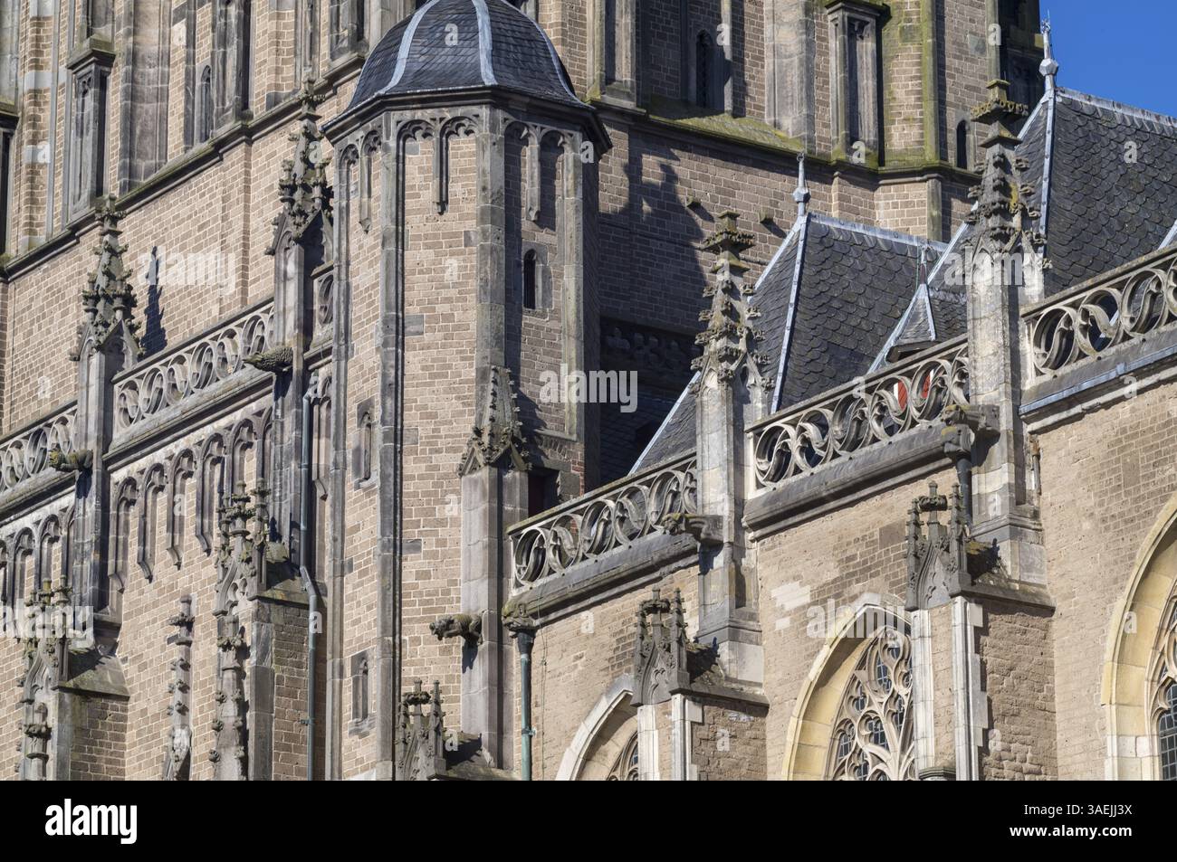 Decorative elements and gargoyles embellishing the facade of a historic ...