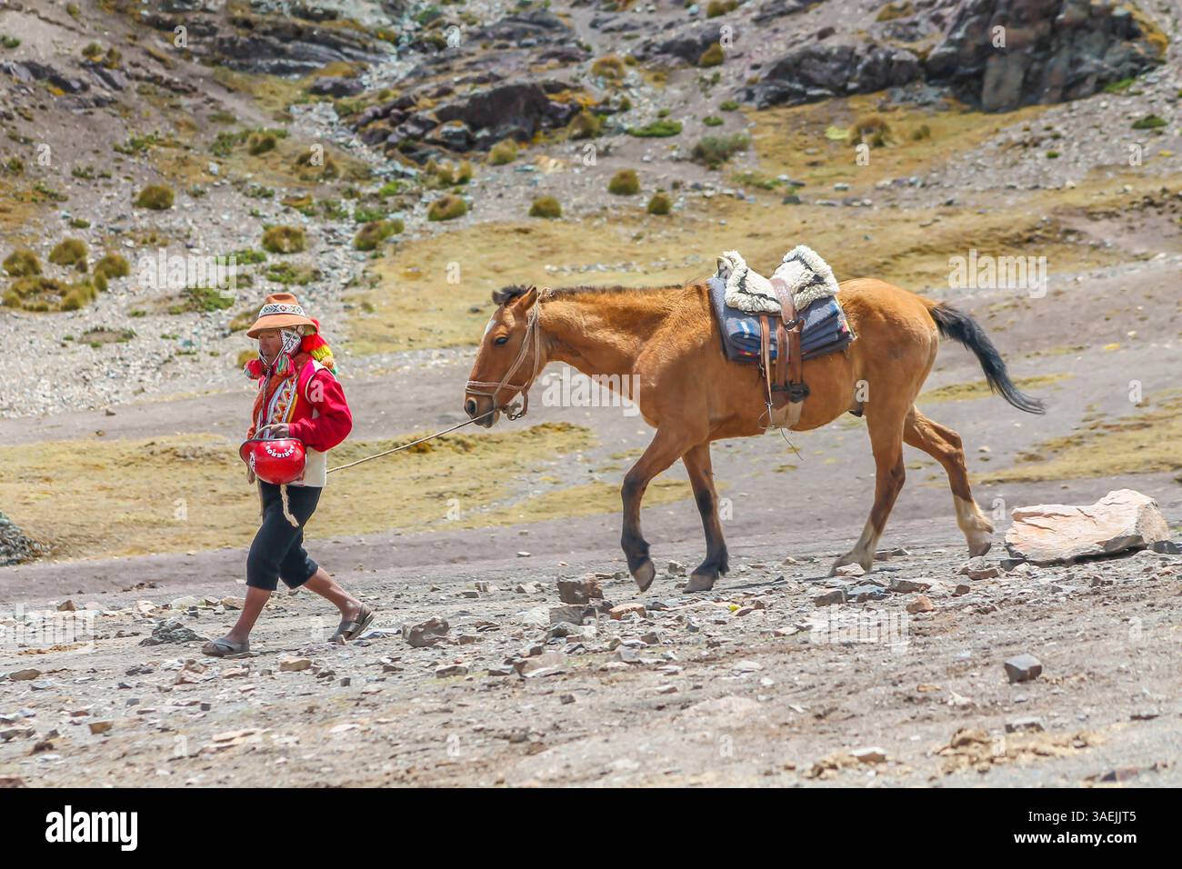 Peruvian people with horses offering tourists ride to the top of ...
