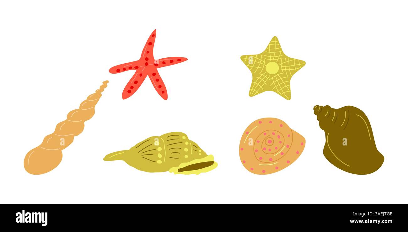 Sea Plants Underwater ocean Marine flora Set. Starfish shells. Design ...