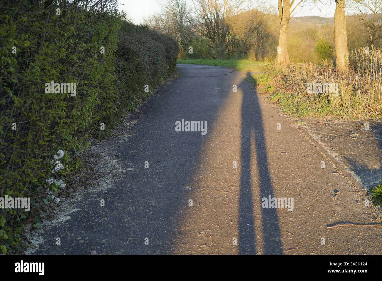 Shadow play on the panorama path, Tullauer Hoehe, local recreation area ...