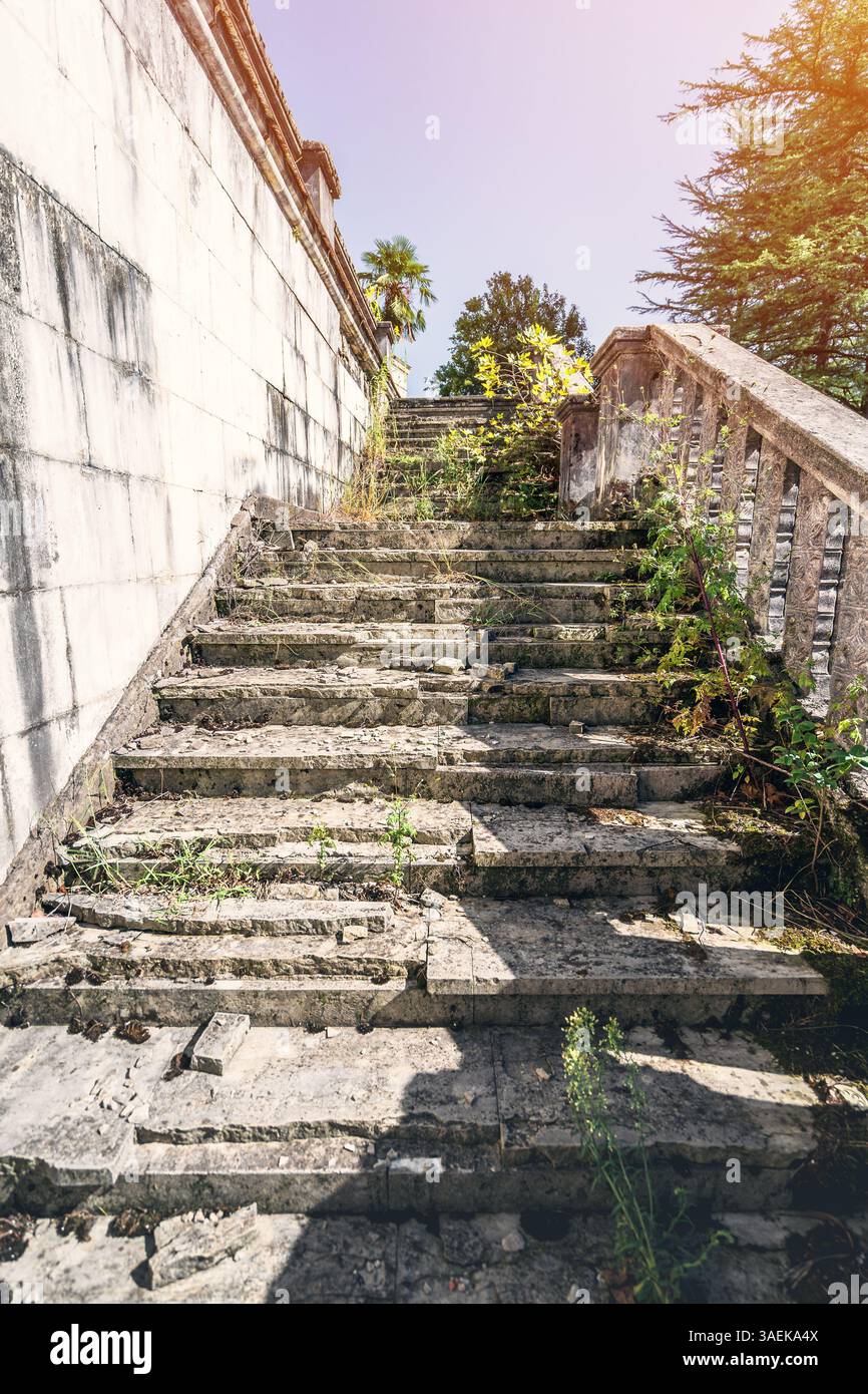 Overgrown stone staircase of abandoned historical site with cracked ...