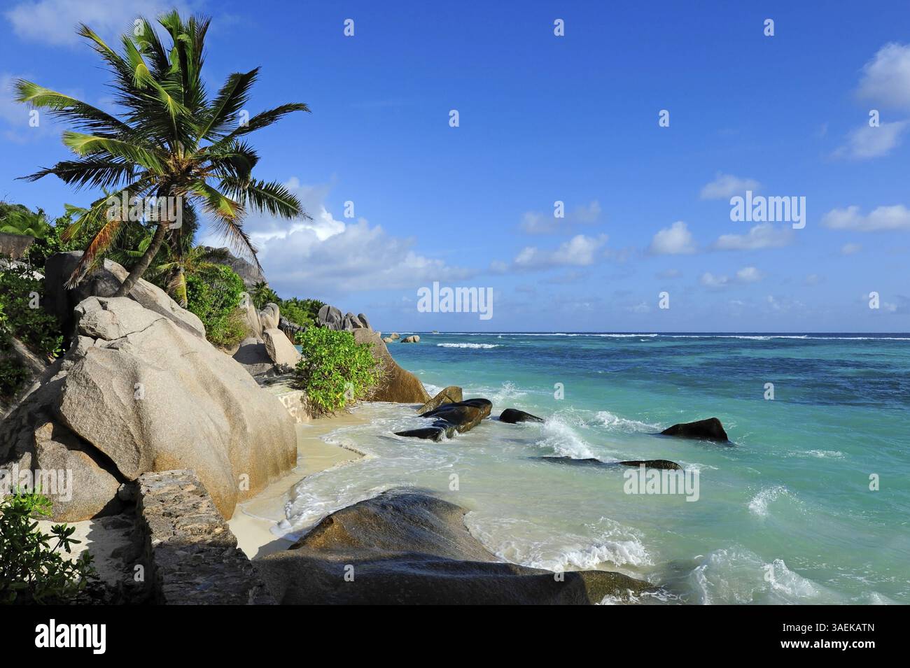 Rocks and palm trees on Anse Source d'Argent beach, Union Estate ...