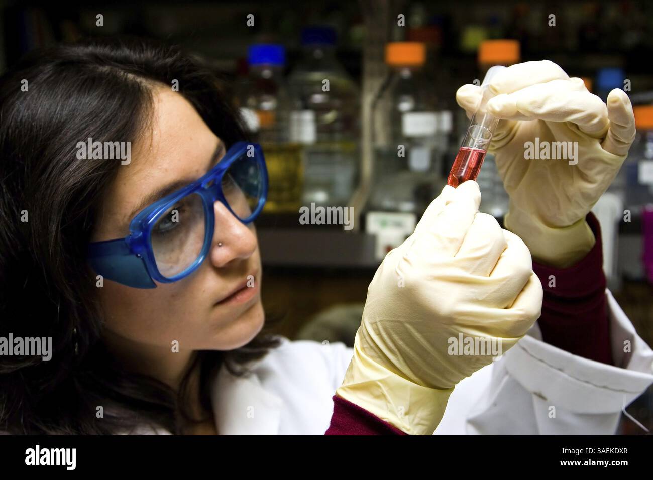 Scientist checking color change hi-res stock photography and images - Alamy