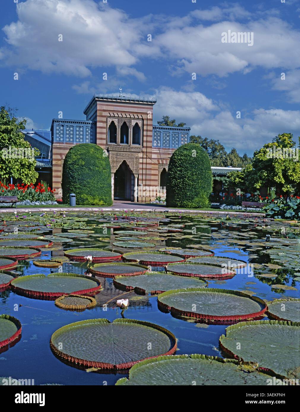 Wilhelma, animal park, zoo, zoological garden, water lily pool, giant ...