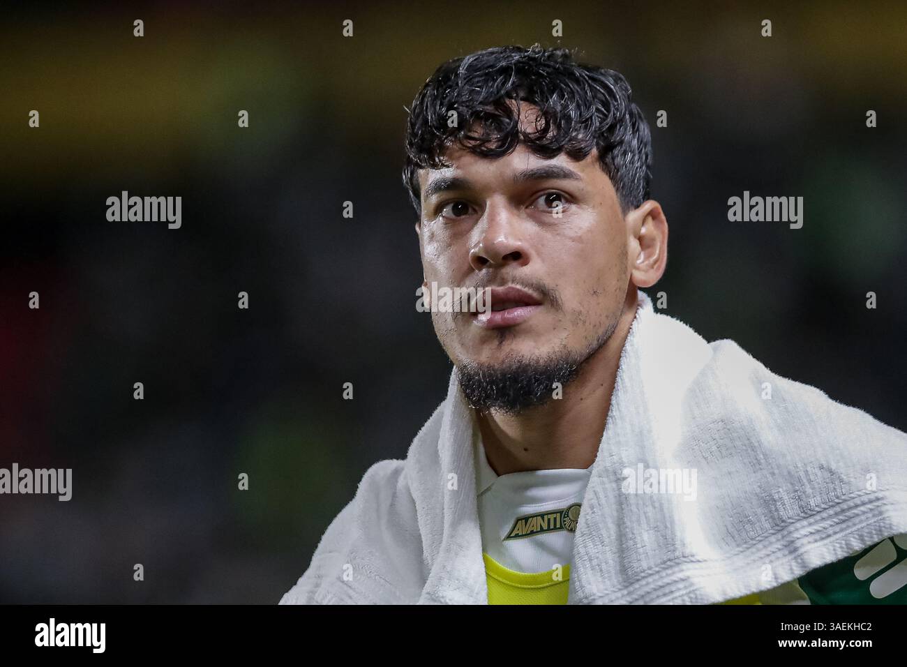 PE - RECIFE - 04/06/2025 - BRAZILIAN A 2025, SPORT x PALMEIRAS ...