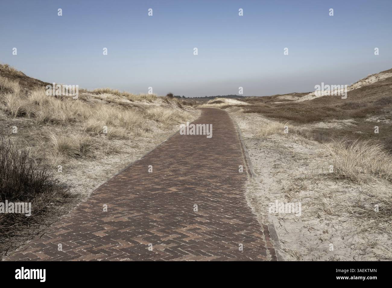 Red brick path meandering through dry grass-covered sand dunes leading ...