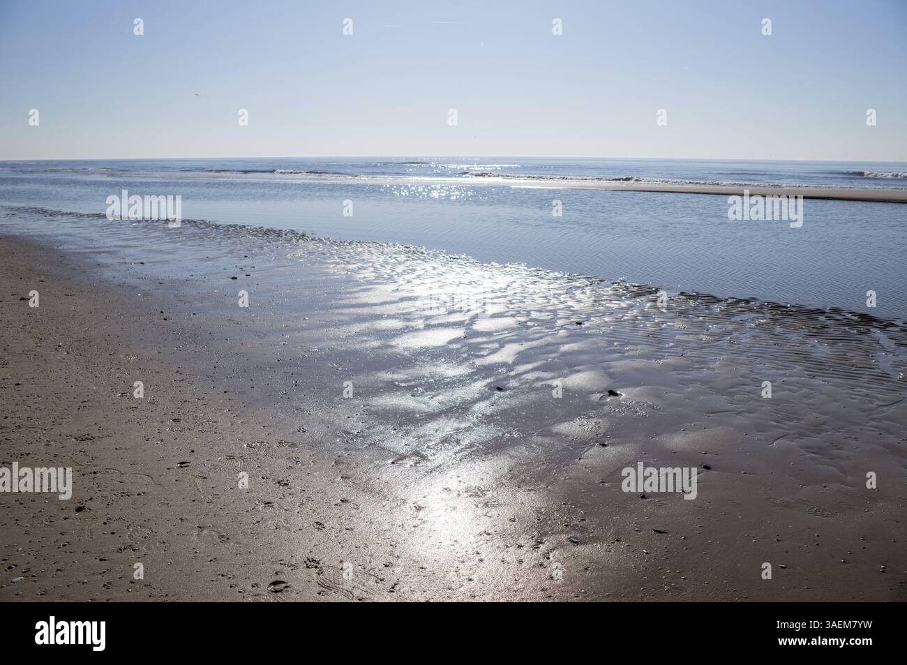 Sunlight reflects on the wet sand of a beach on a sunny day, creating a ...