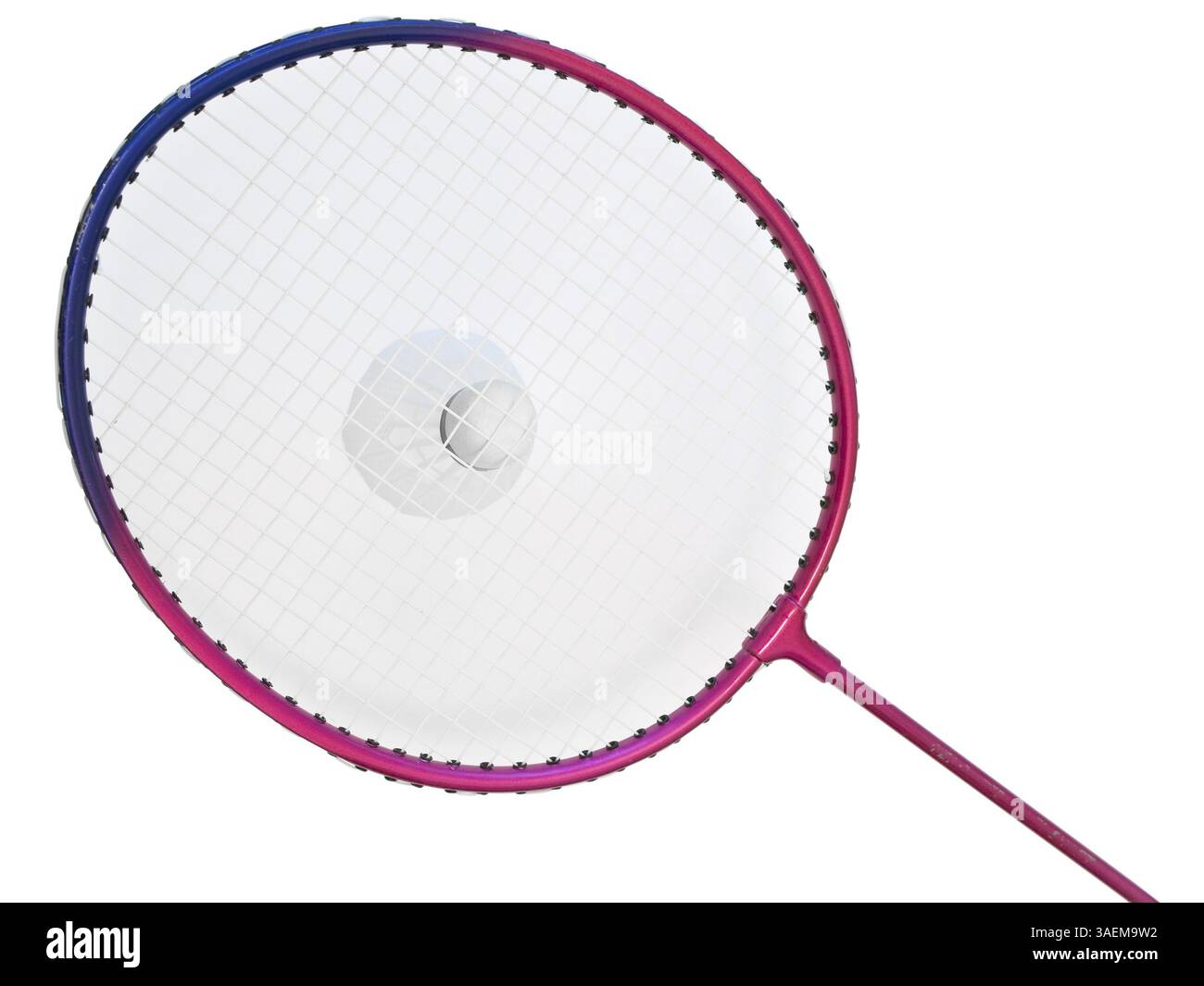 Badminton racket and shuttlecock against the white background Stock ...