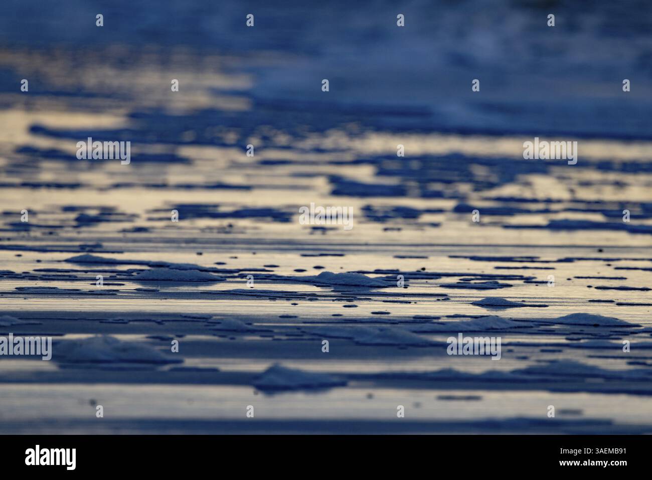 Foam and water structures reflect the evening light on the beach ...