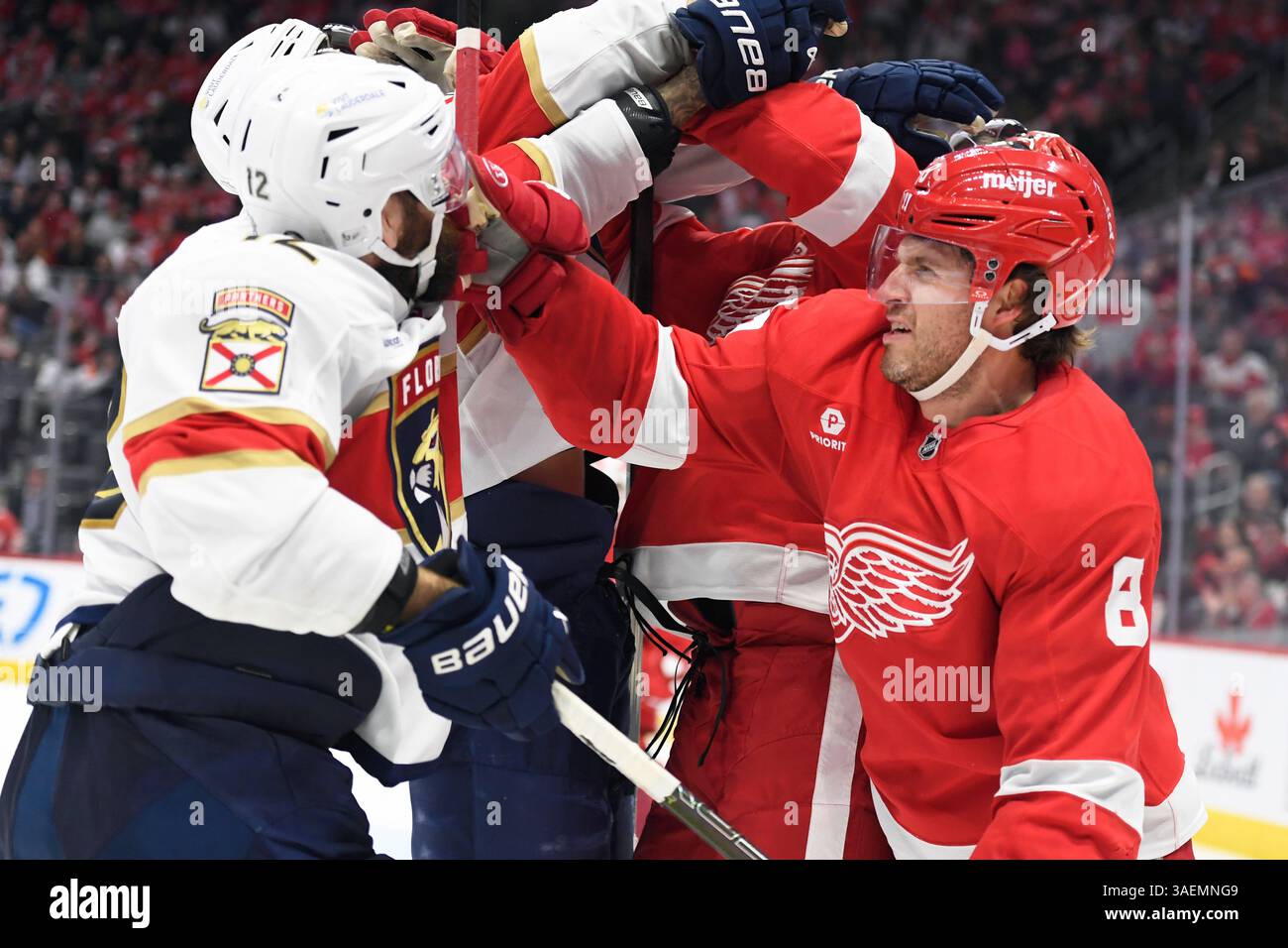 Detroit Red Wings defenseman Ben Chiarot (8) fights with Florida ...