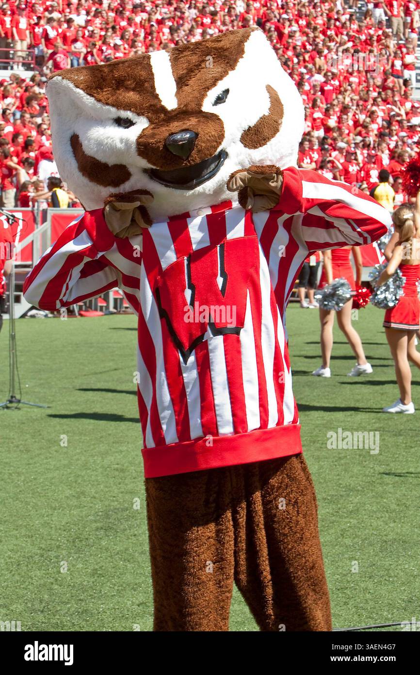 Wisconsin badgers mascot bucky badger hi-res stock photography and ...