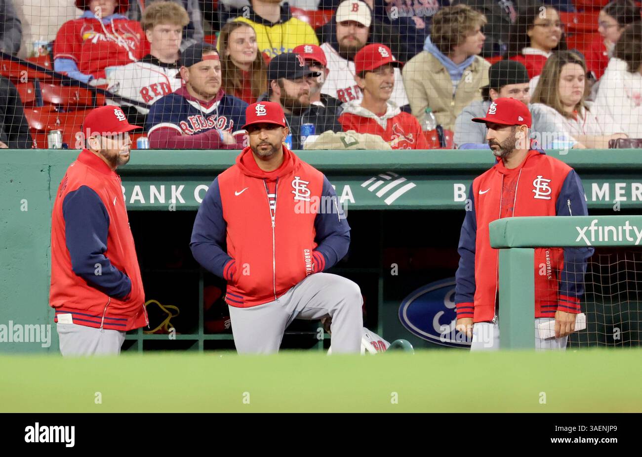 St. Louis Cardinals coaches watch from the dugout in the seventh inning ...