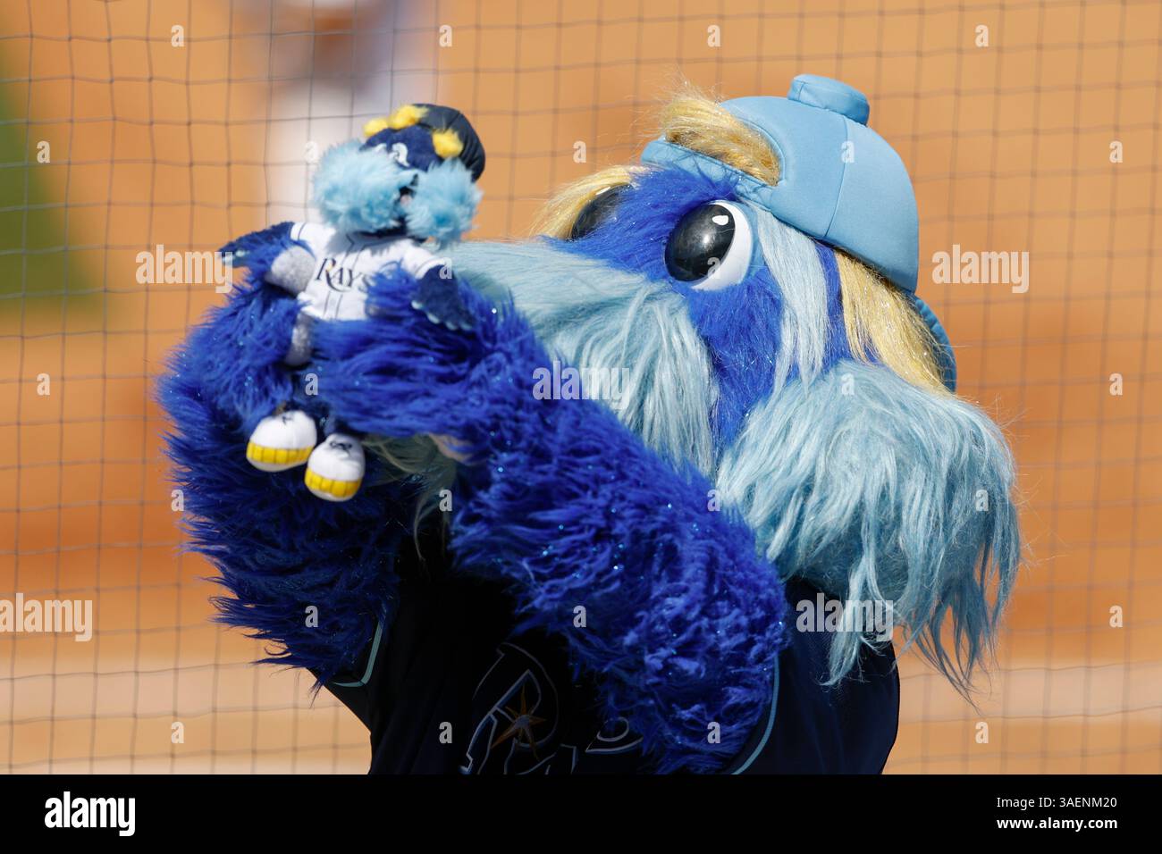 Tampa, FL USA: Tampa Bay Rays mascot Raymond holds up a mini Raymond ...