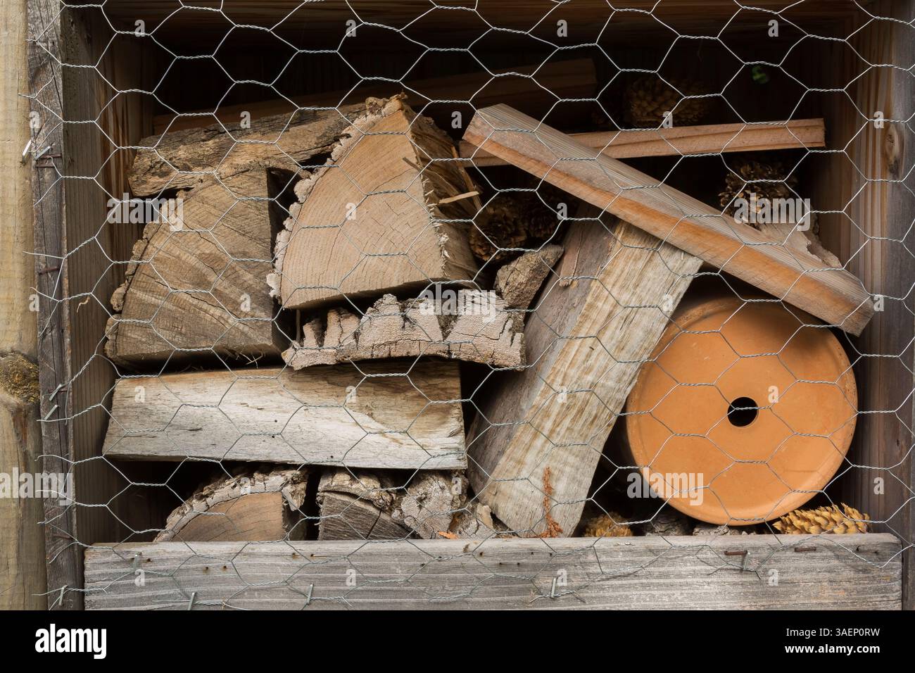 Bug hotel made from cut logs, tree bark and flowerpot for insects to ...