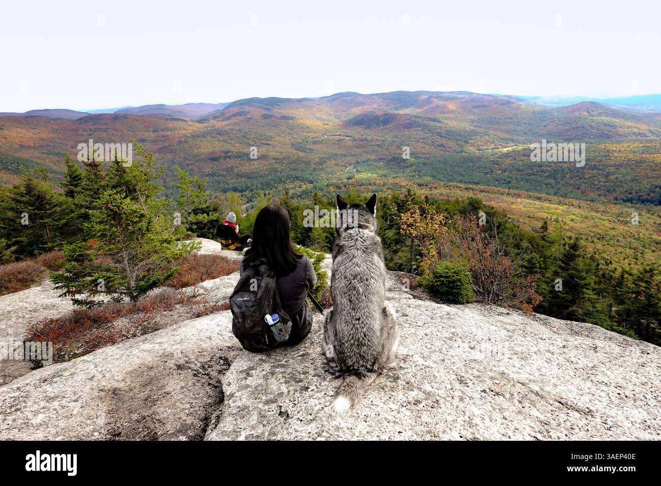 Mountain View Companions: Man and Dogs Enjoying the Summit - Gigapixel ...