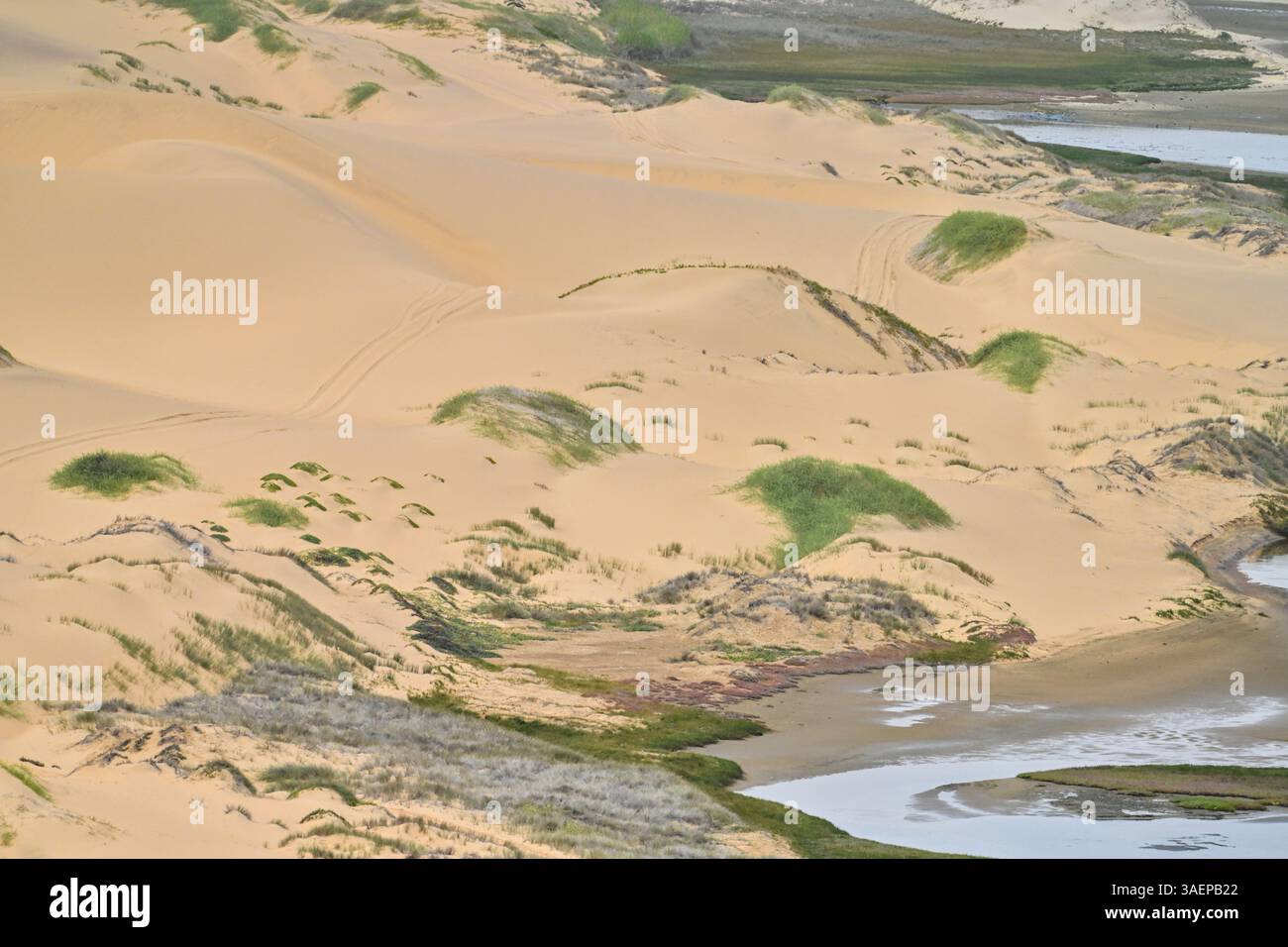 A breathtaking view of the desert-ocean ecosystem at Sandwich Harbour ...