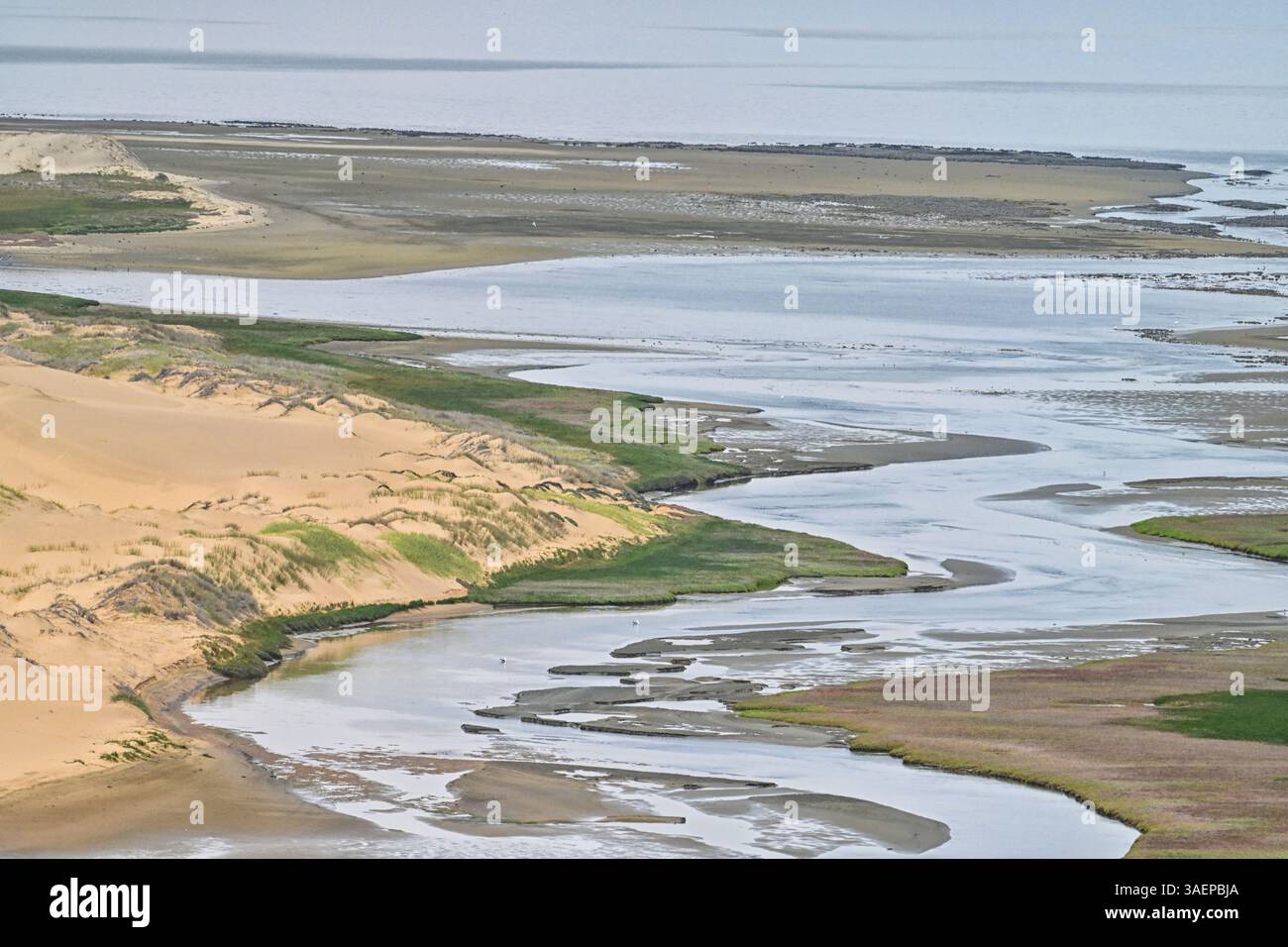 A breathtaking view of the desert-ocean ecosystem at Sandwich Harbour ...
