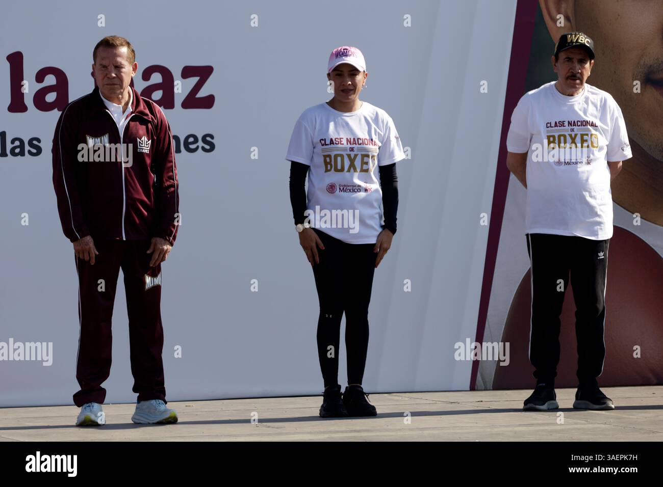 Former world boxing champions, Julio Cesar Chavez and Carlos Zarate and ...