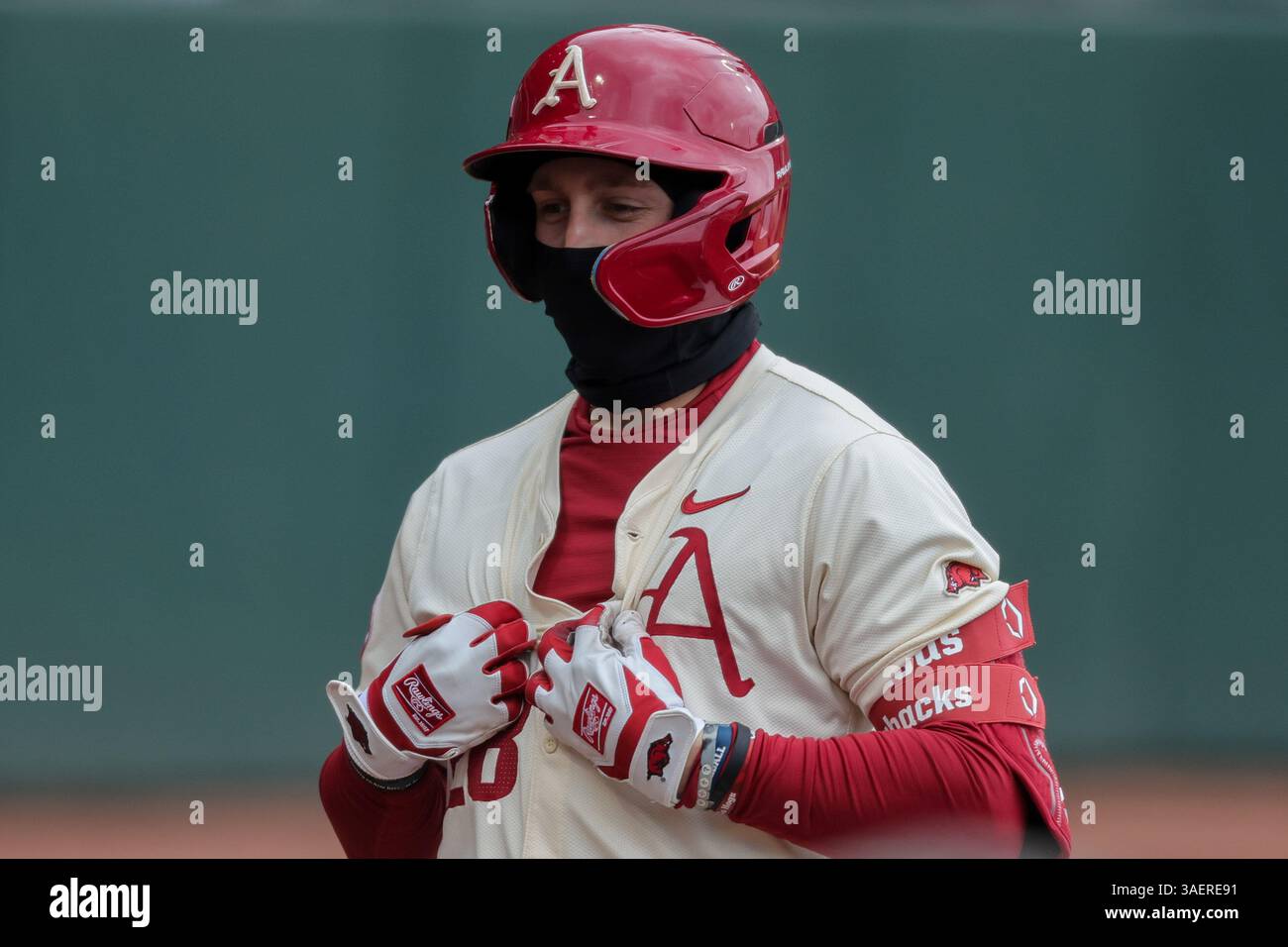 April 6, 2025: Carson Boles (28) of Arkansas pulls open his shirt as he ...