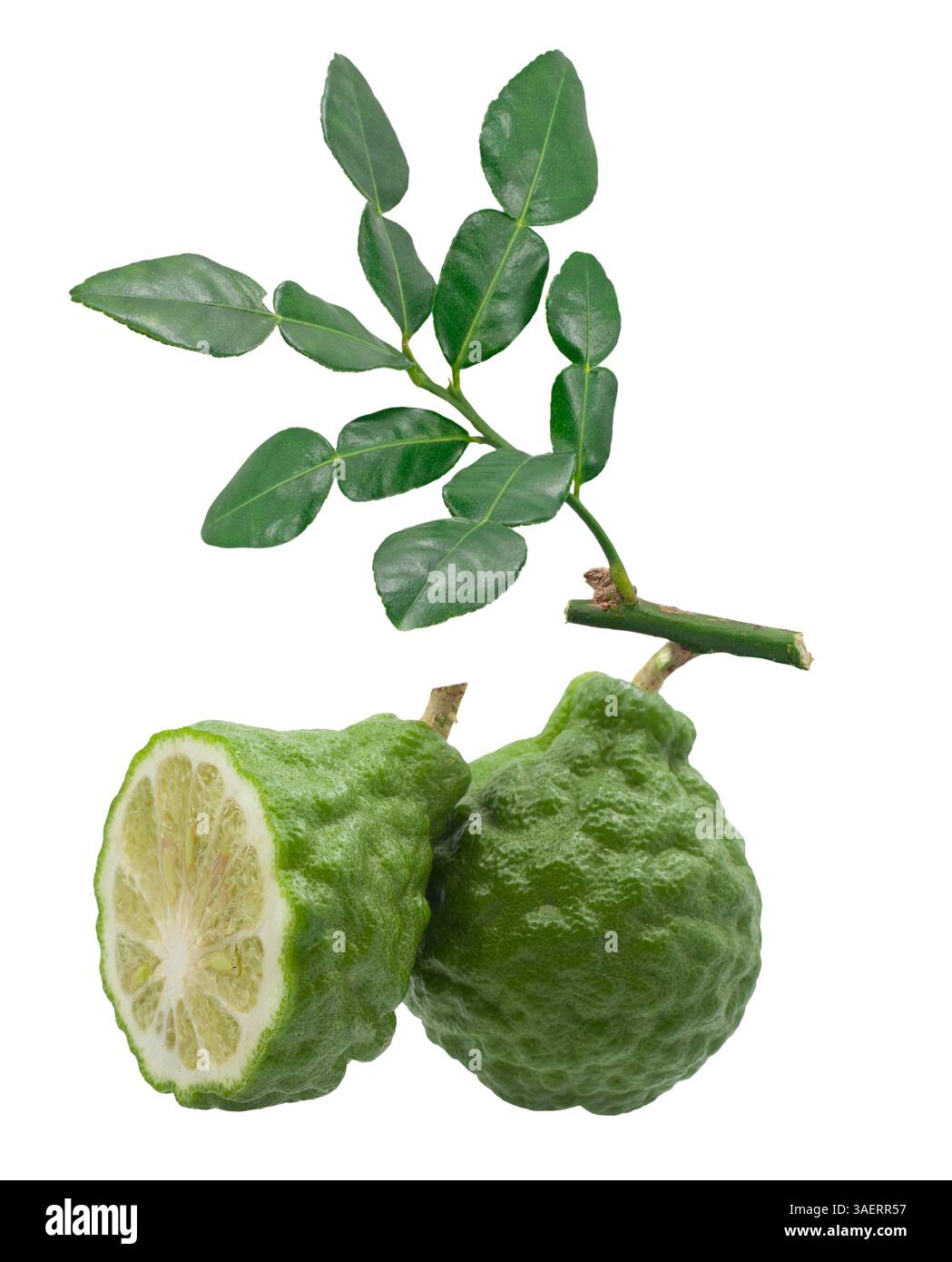 Fresh Kaffir Limes with Leaves Isolated Stock Photo - Alamy