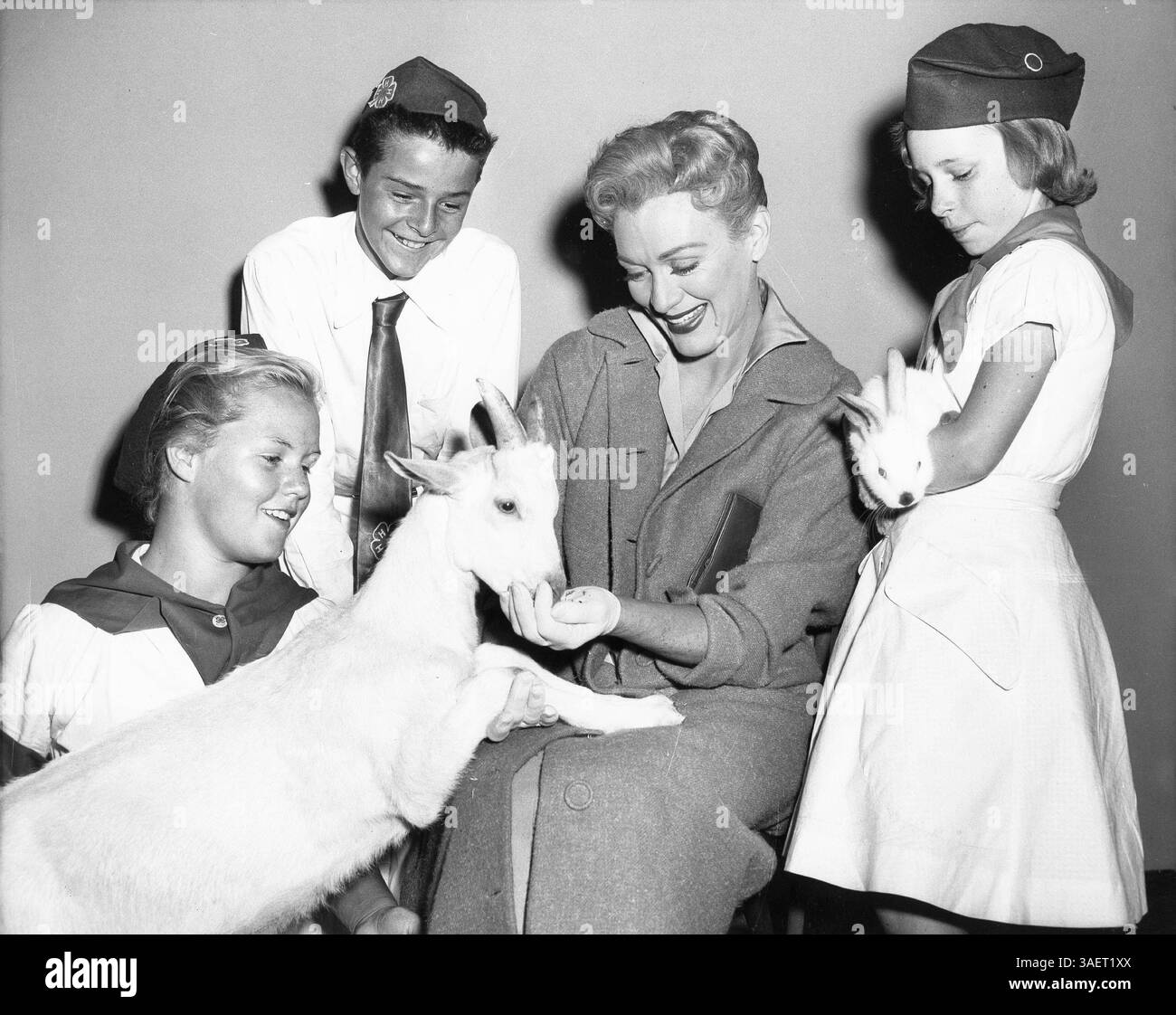 Jack and russell burke hi-res stock photography and images - Alamy