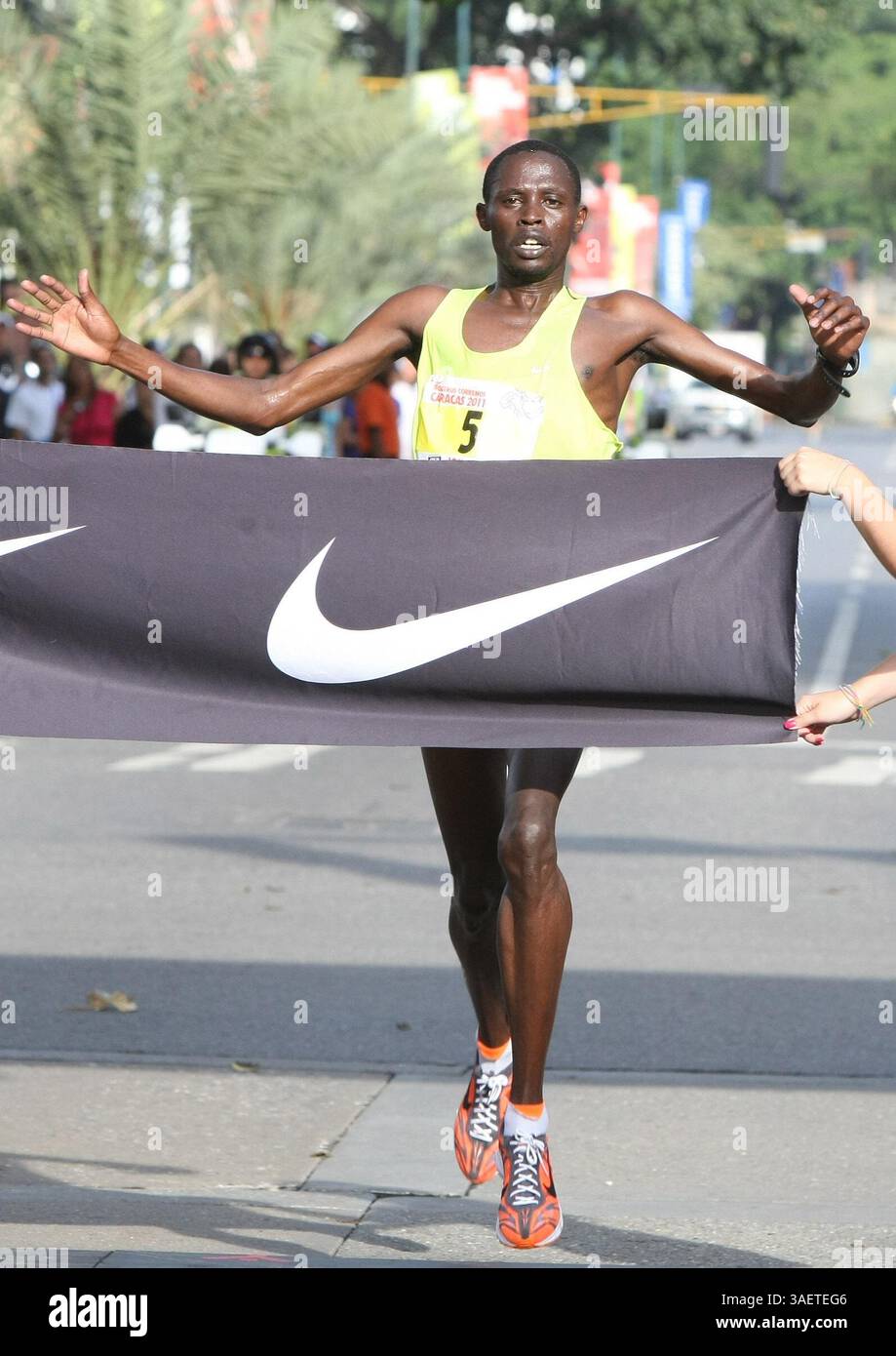 Imagen de rama hi-res stock photography and images - Alamy