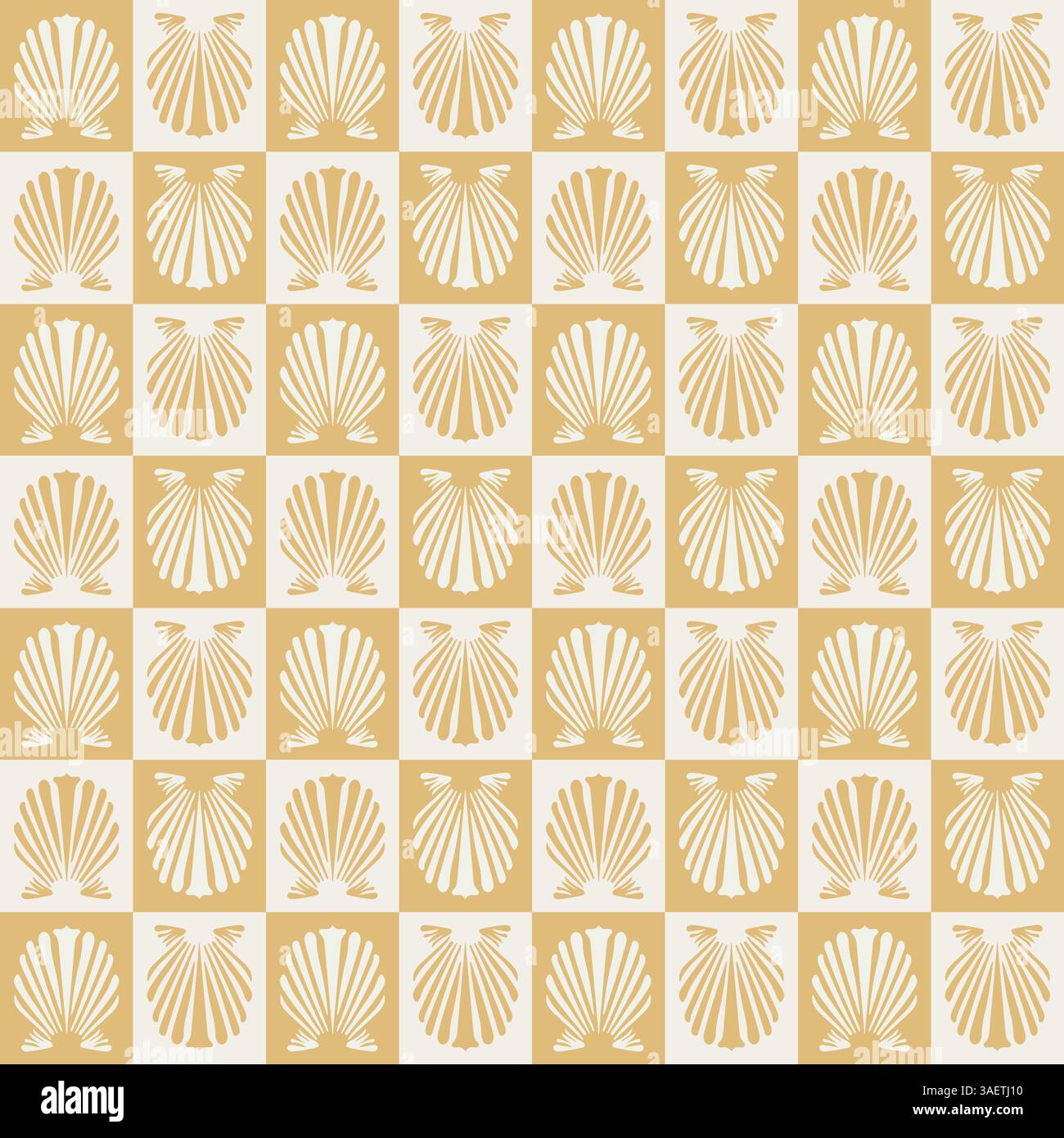 Coastal chic, Seashells in a geometric grid Stock Photo - Alamy