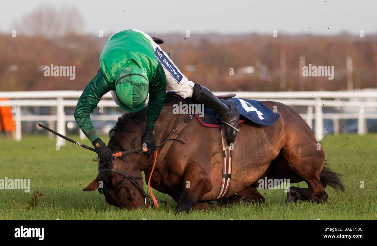 Ruby walsh hi-res stock photography and images - Alamy