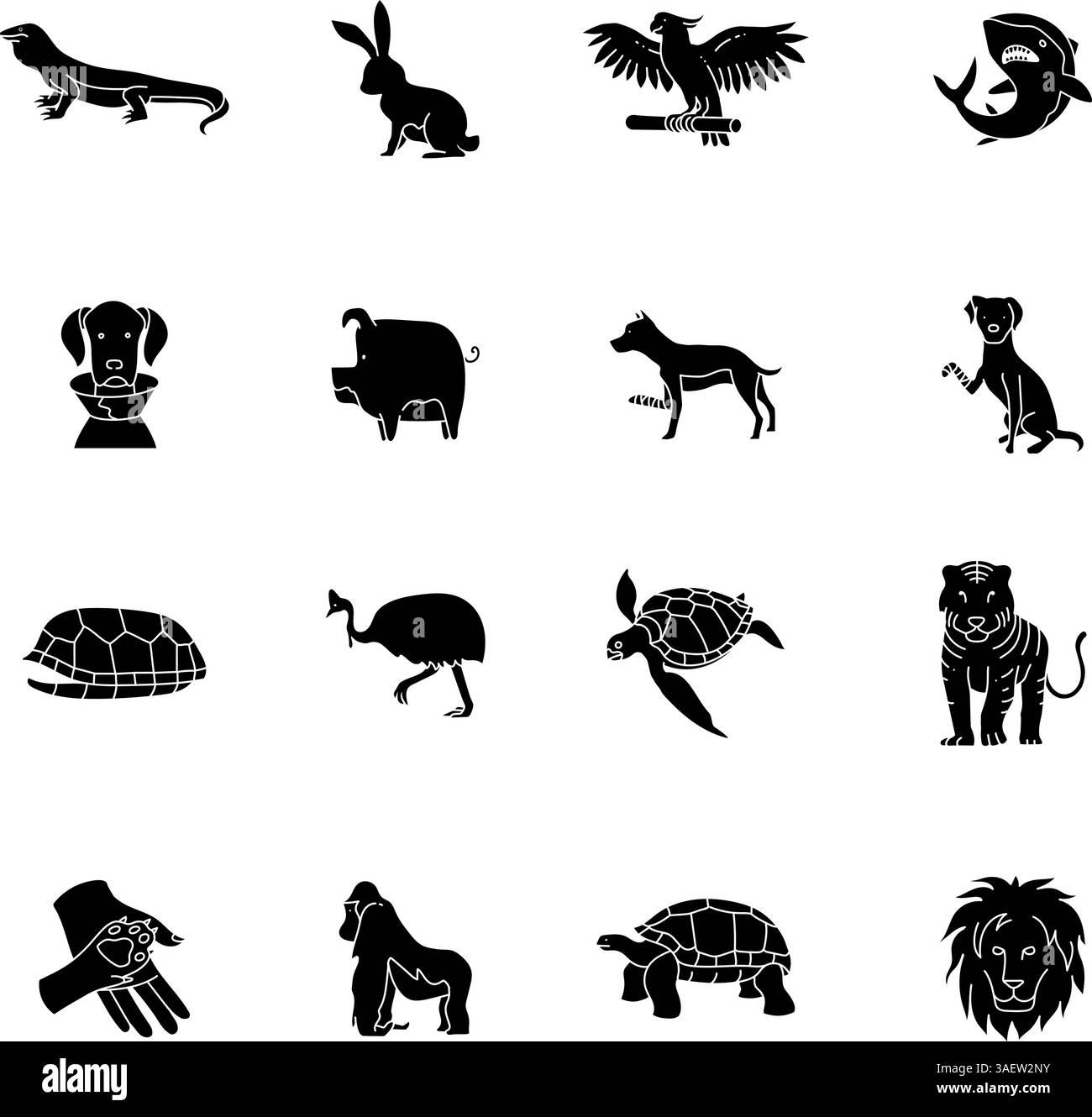 Reptiles in the sea Black and White Stock Photos & Images - Alamy