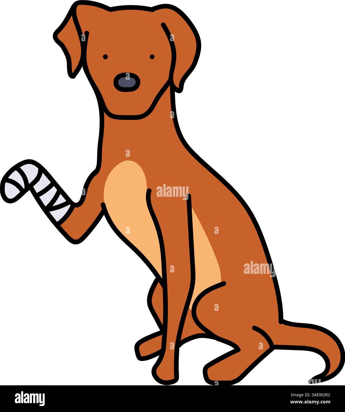 leg injured dog hand drawn color vector illustration Stock Vector Image ...