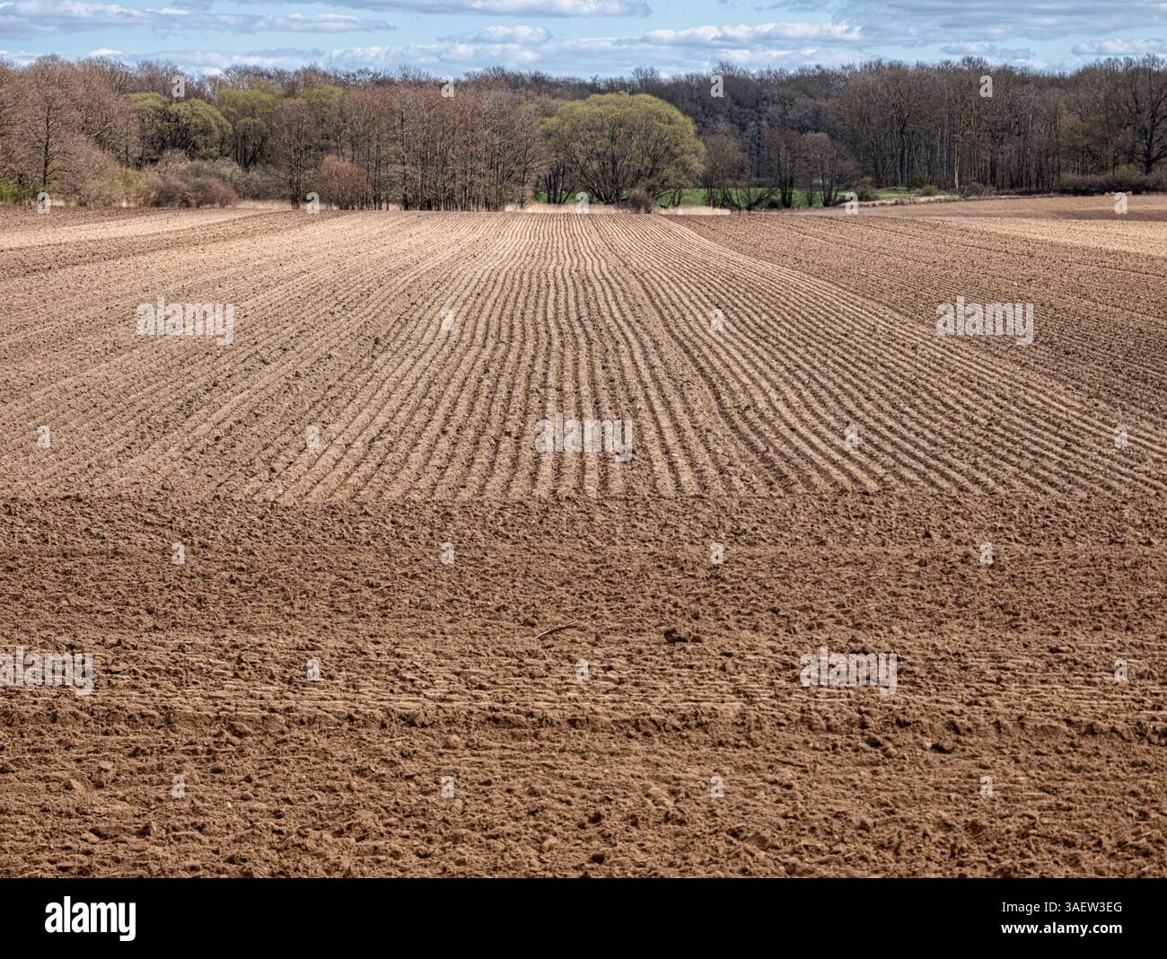Delingsdorf, Germany. 06th Apr, 2025. View of a freshly plowed field ...