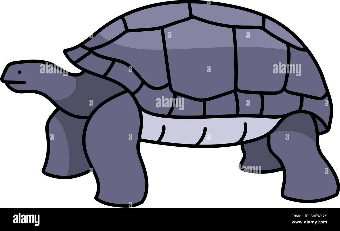 galapagos giant tortoise hand drawn color vector illustration Stock ...