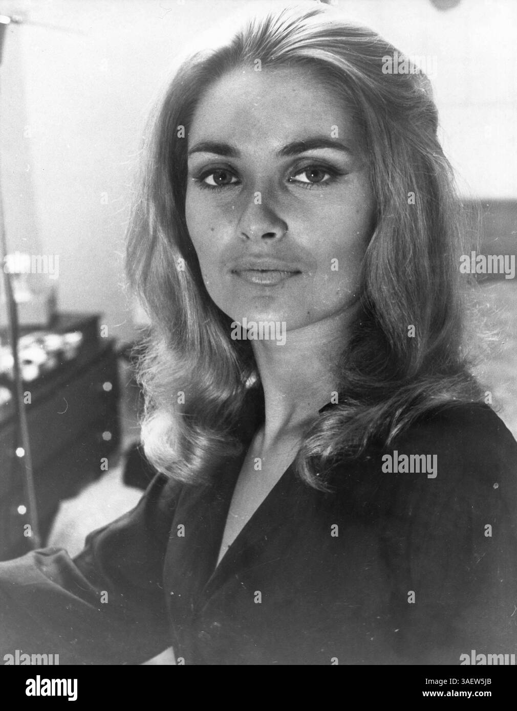 Alexandra bastedo hi-res stock photography and images - Alamy