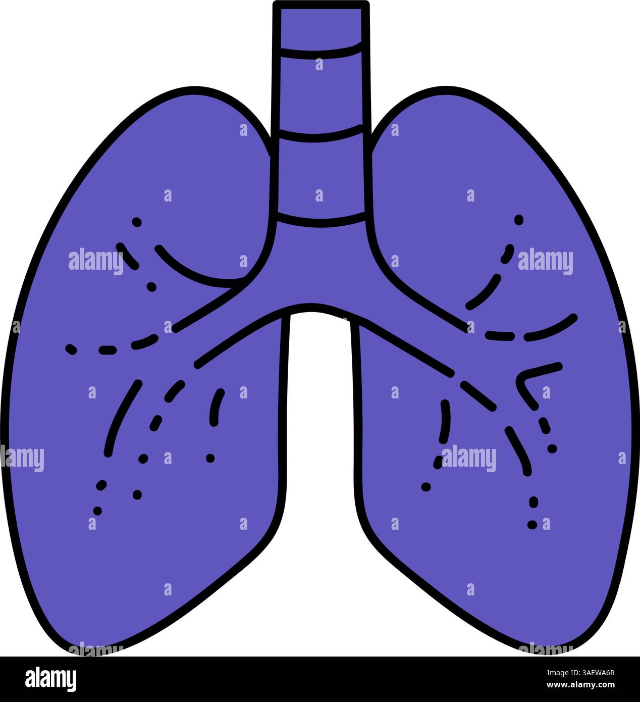 healthy human lungs hand drawn color vector illustration Stock Vector ...
