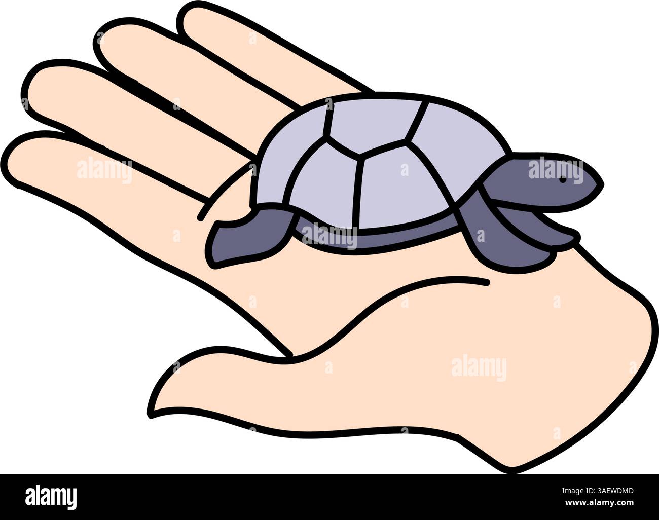animal newly hatched tortoise baby hand drawn color vector illustration ...