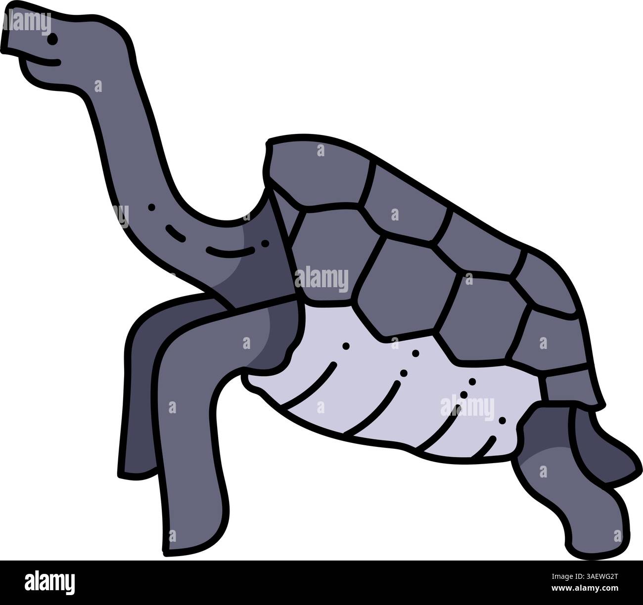 galapagos giant tortoise hand drawn color vector illustration Stock ...