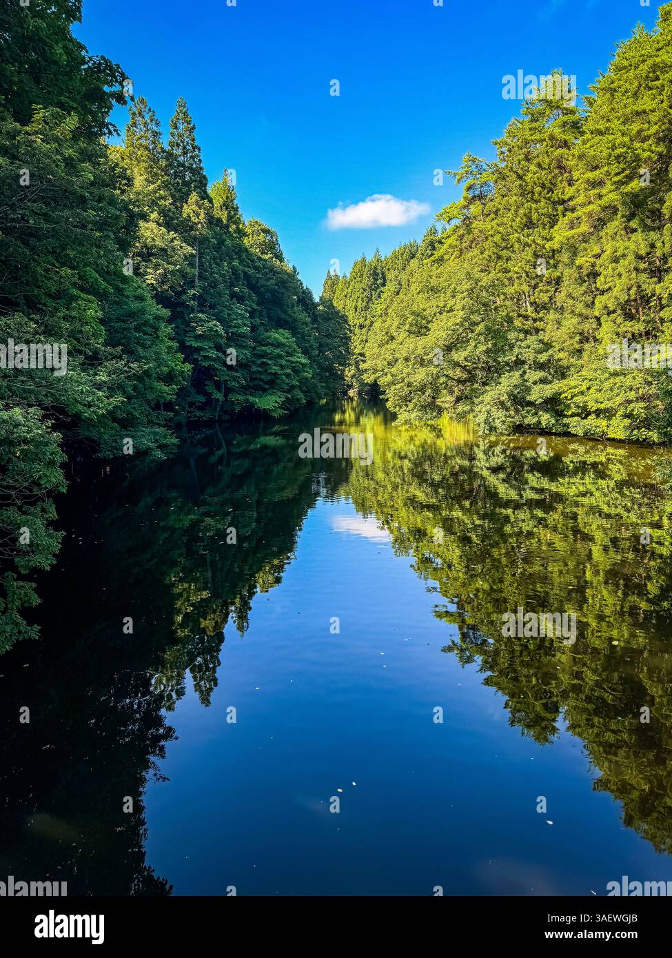 Hoshino Aomoriya lake and temple in Furumagiyama, Misawa, Aomori, Japan ...