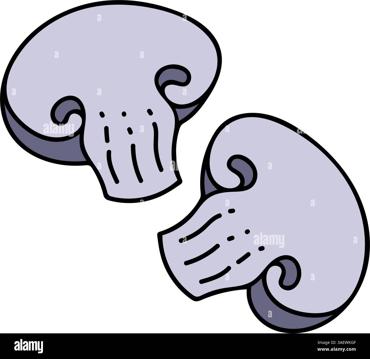 sliced mushroom hand drawn color vector illustration Stock Vector Image ...