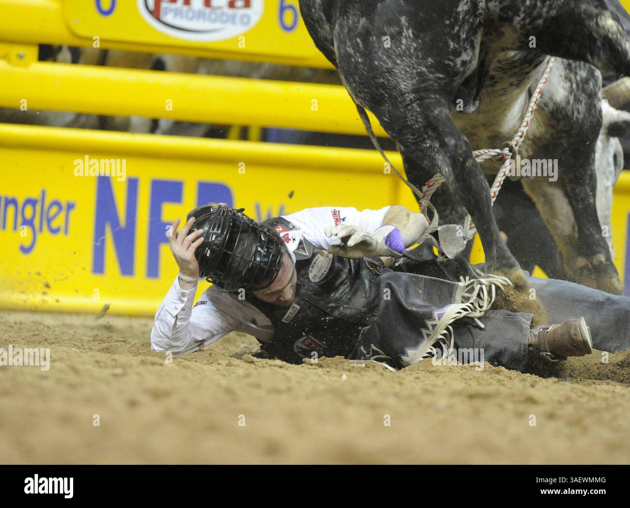 2011 DEC 10: Clayton Savage of Cheyenne, WY is bucked off the bull ...