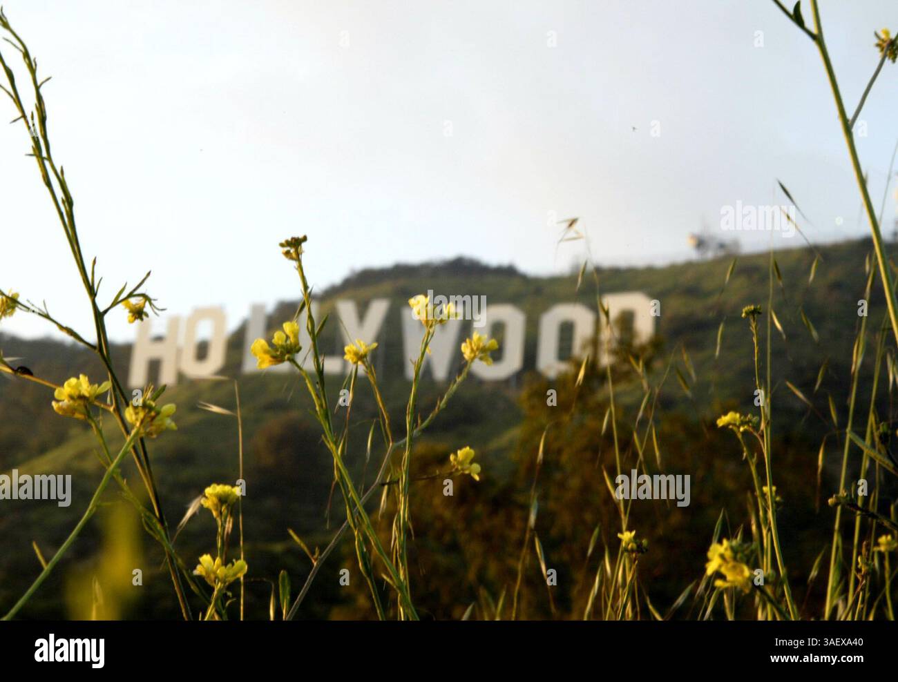 Feb 24, 2005; Los Angeles, CA, USA; The famous Hollywood Sign, perched ...