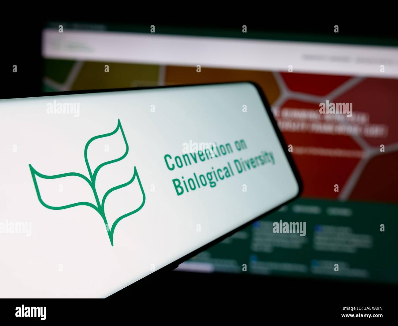 In this photo illustration, a mobile phone with the logo of Convention ...