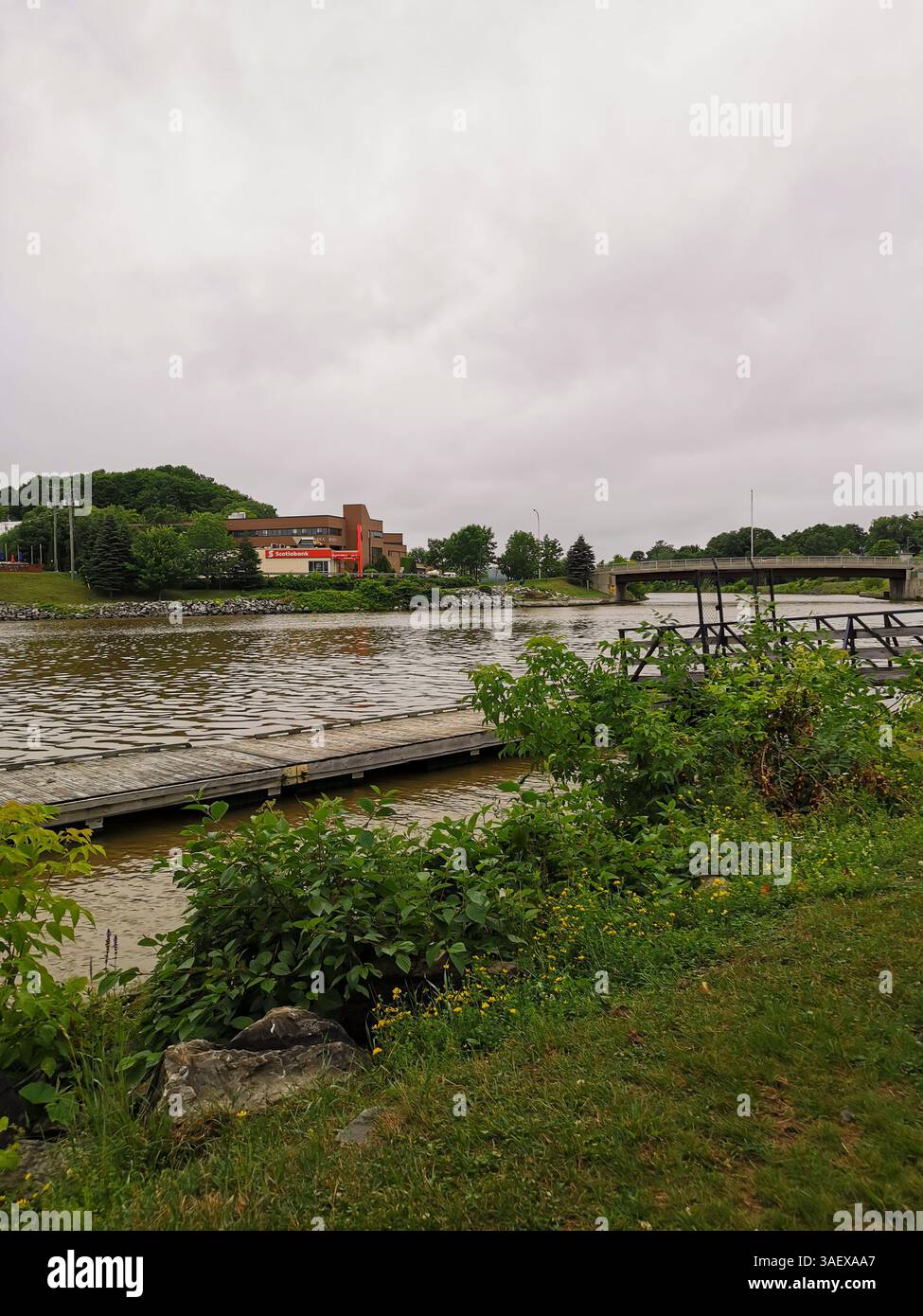 Scenic Riverside View with Wooden Dock and Lush Greenery Under an ...