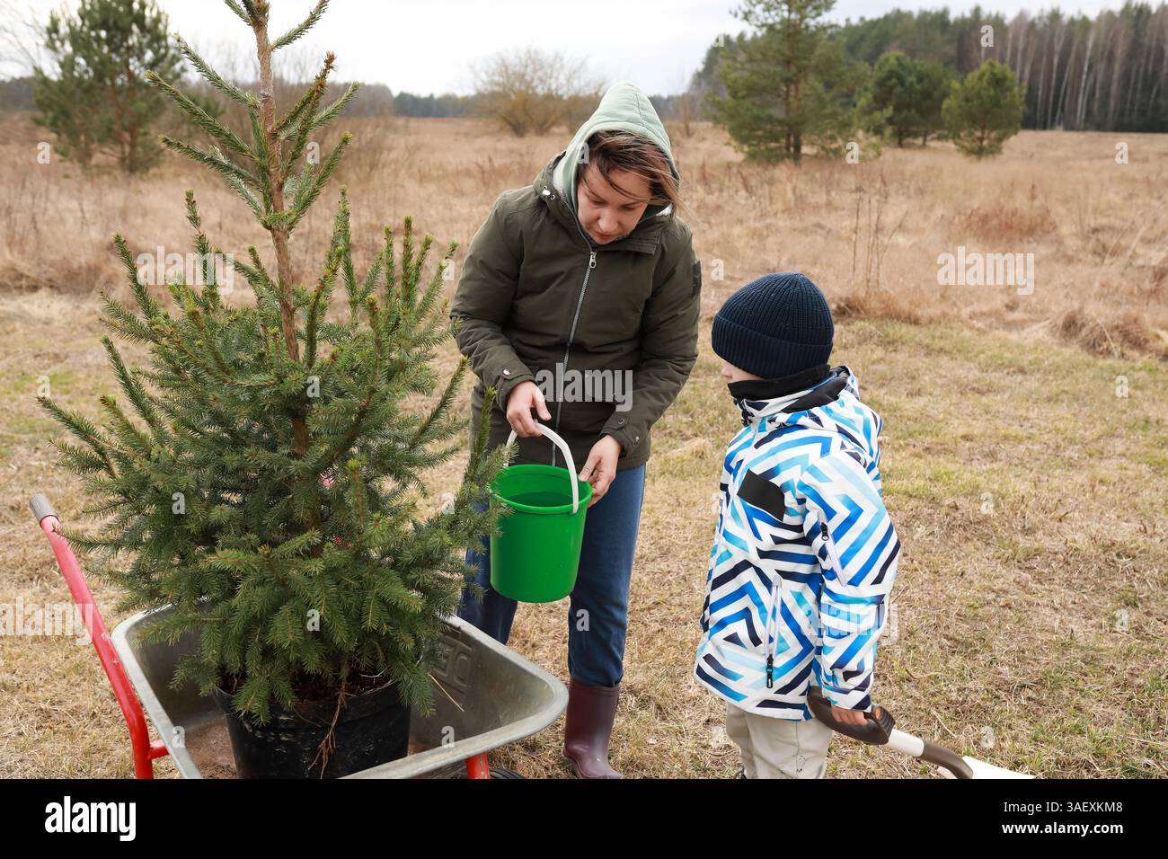 Mother and child planting a tree in early spring at a rural field in ...